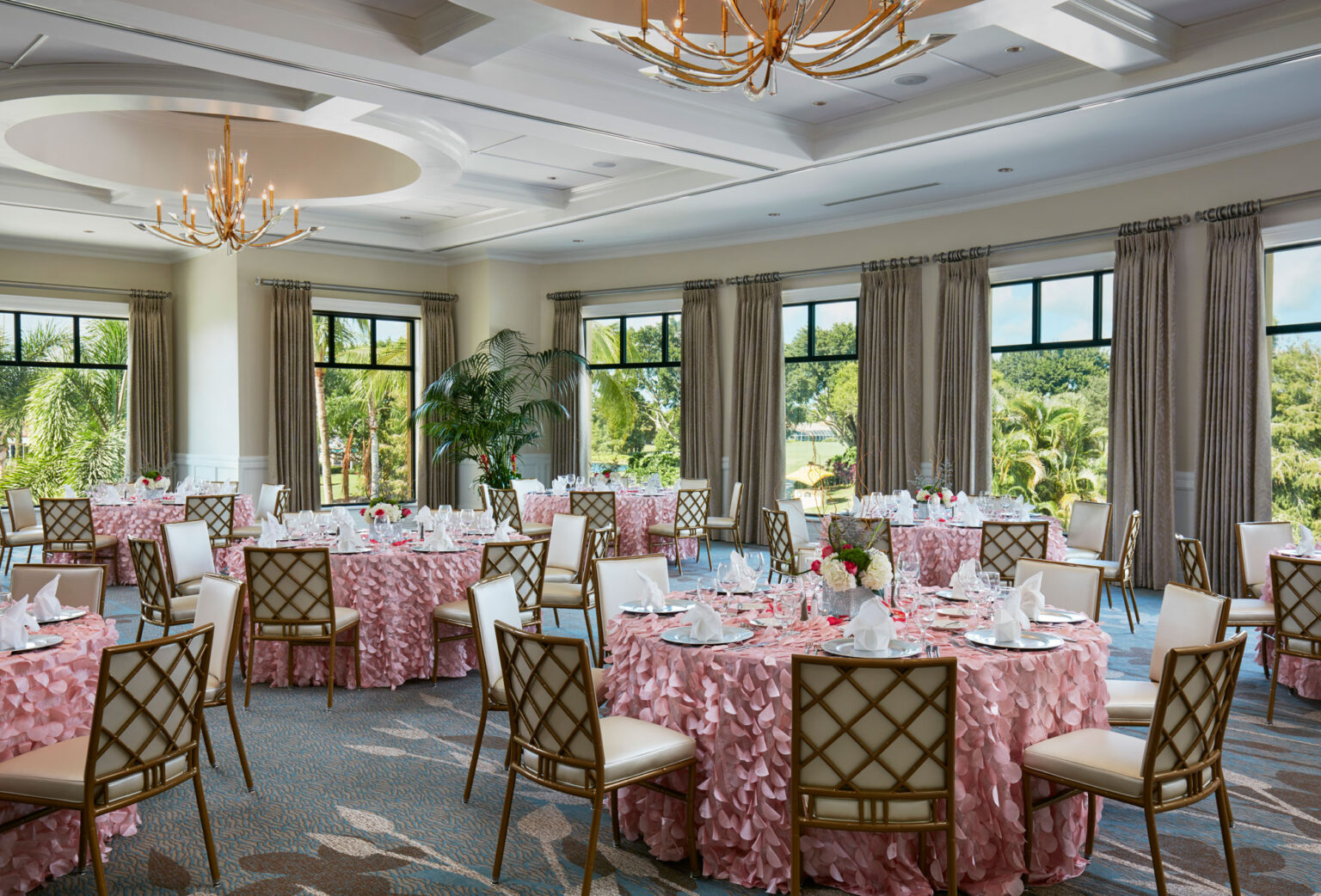 Ibis Photo Tour - The Telchin Group LLC